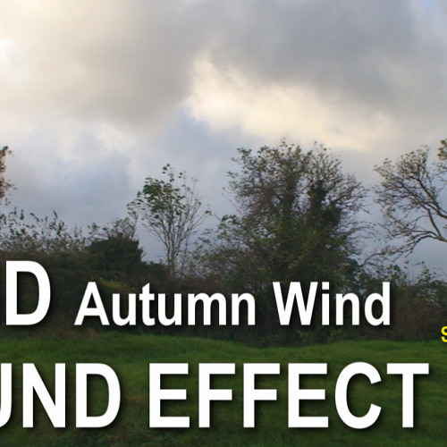 Stream WIND - Strong Autumn Wind sound effect by allcastcoUK | Listen ...