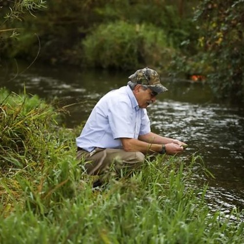 Stream UC Davis fish biologist Peter Moyle on how Putah Creek got its ...