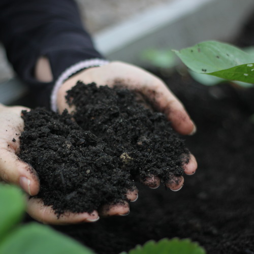 Stream Special Project: An exploration of death and dirt by ...