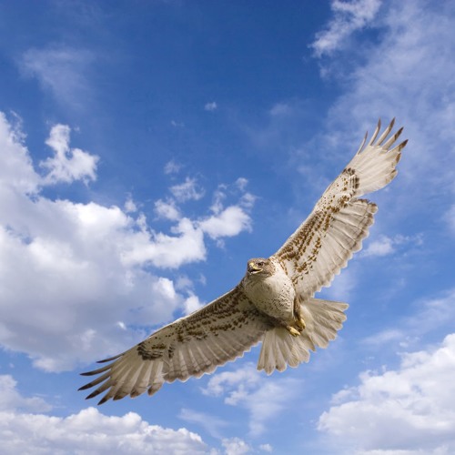 Stream Time Capsule (King) by Bootlegga ♣ | Listen online for free on ...