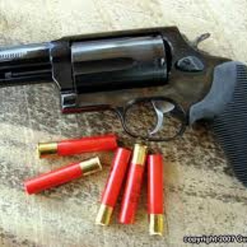 Punjabi Bullet With Gun