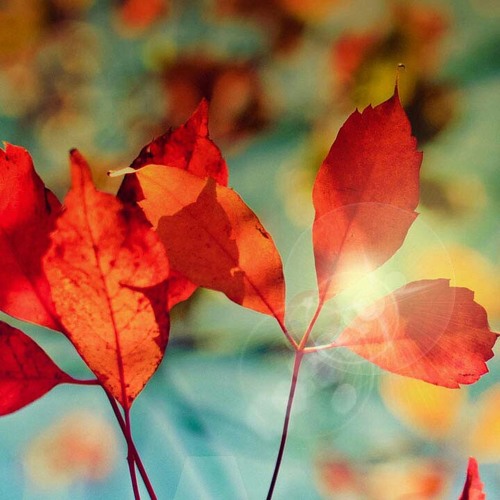 Stream يا من هواه أعزه وأذلني _ مهاب عمر و عبد الرحمن محمد by Zaher ...