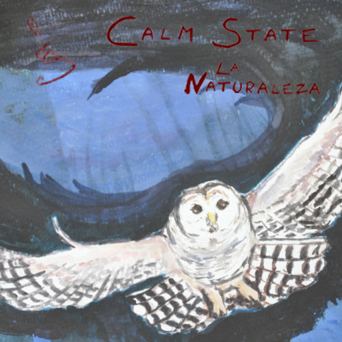 Stream Calm State | Listen to La Naturaleza playlist online for free on ...