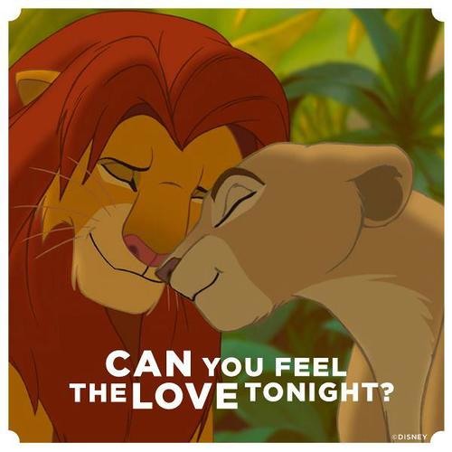 Can You Feel The Love Tonight Lion King Flowers