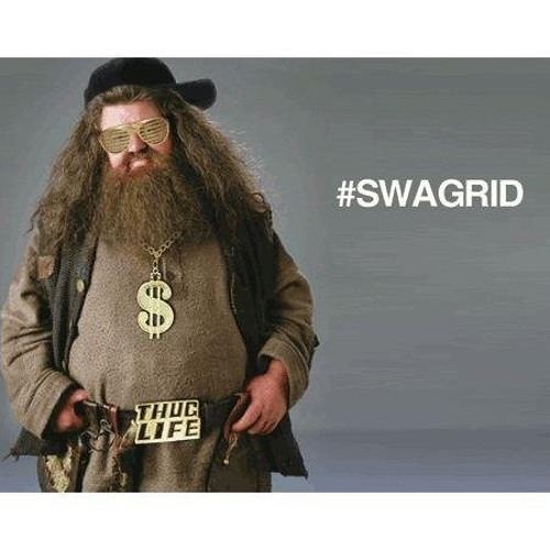 Swagrid Youre A Gangster Harry