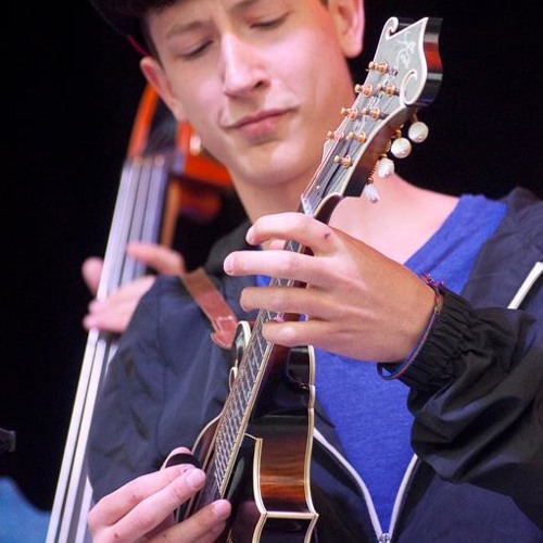 Stream The Sparrow - Dylan Ferris by dylanferris14 | Listen online for ...