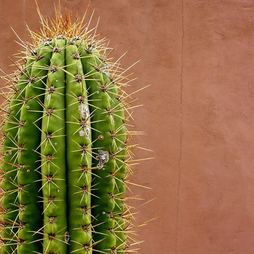 Stream Lead Sand by David Comeaux | Listen online for free on SoundCloud