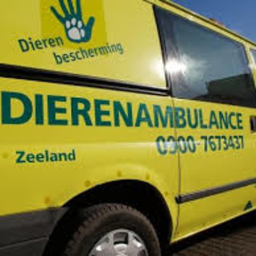 Stream Campagnedierenambulance by Anja de Loos | Listen online for free ...