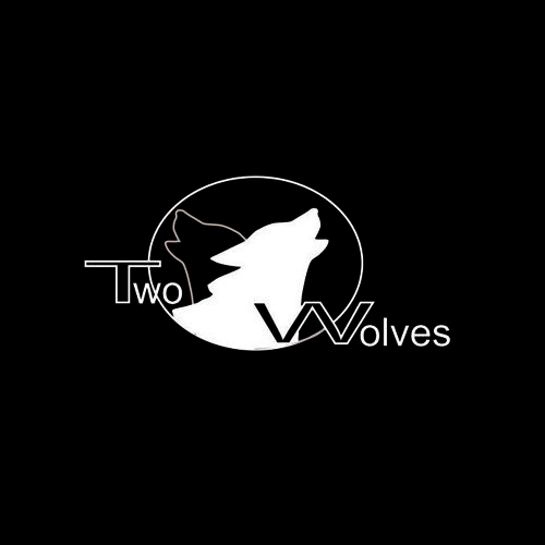 Stream Will You Be There Too by Two Wolves Band | Listen online for ...