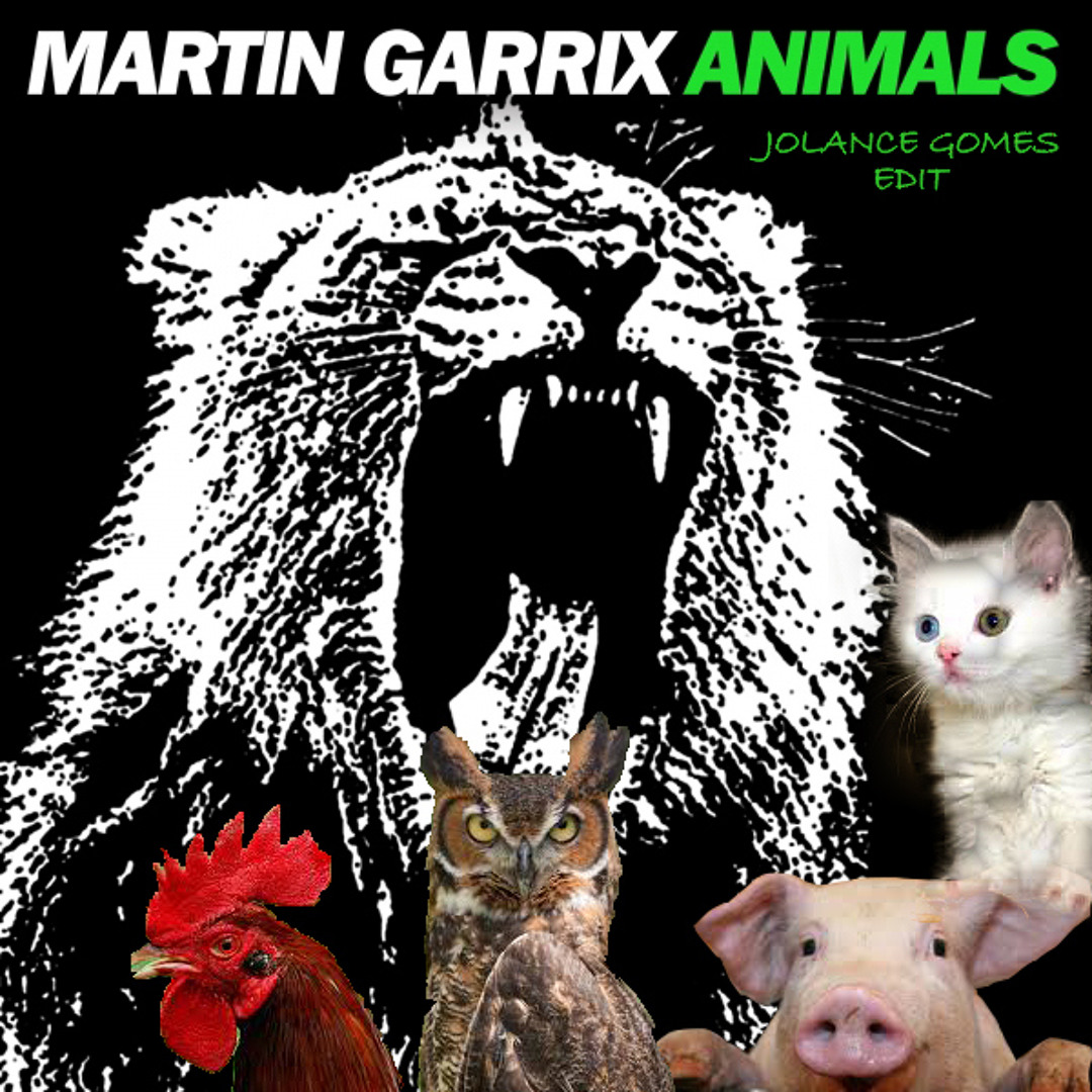 Stream martin garrix-animal feat.real animals(Jolance Gomes Edit) by ...
