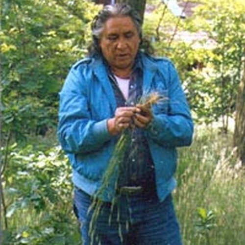 Stream Los cantos del Corazon | Listen to Archie Fire LAme Deer ...