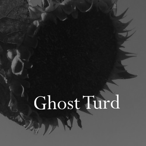 Stream Ghost Turd-Entropy by Soiled Ears | Listen online for free on ...