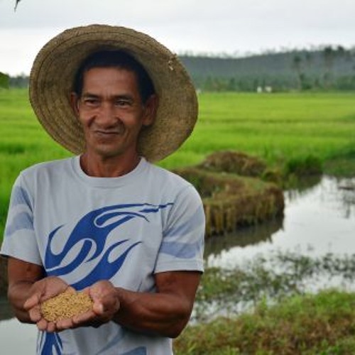 Filipino Farmers Hat