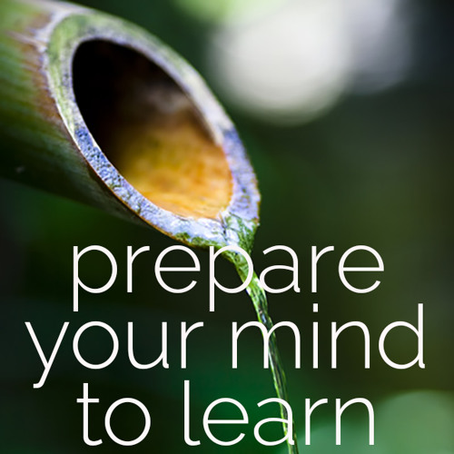 Stream Prepare Your Mind To Learn by Robin Rice's BeWhoYouAre | Listen ...