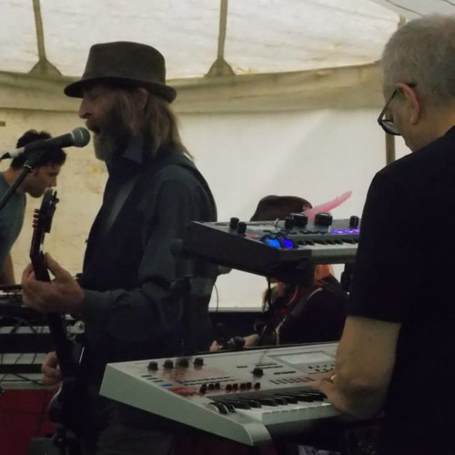 Stream Rolys Gonna Get Married by Slackstring Band | Listen online for ...