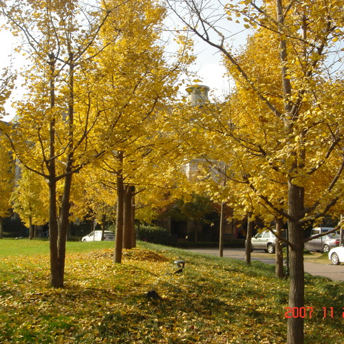 Stream Kate cheung | Listen to Bob Segar playlist online for free on ...