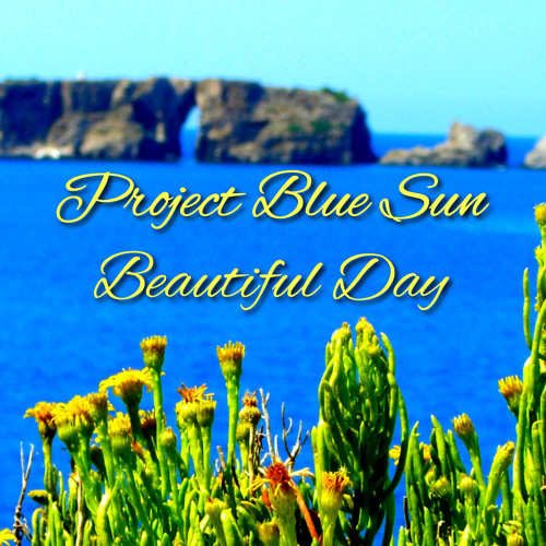 Stream Charlene van Rooyen | Listen to Project Blue Sun playlist online ...
