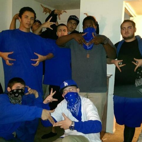 Hoover Crip Flag