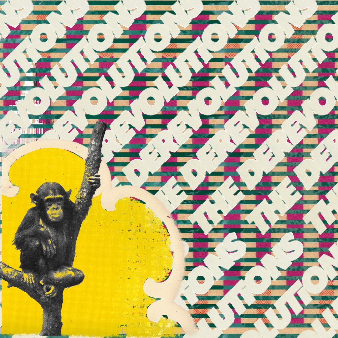 Stream the derevolutions - Bad King Kong by The Derevolutions | Listen ...