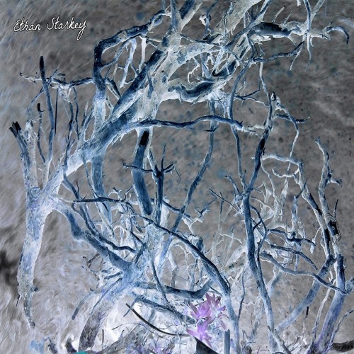 Stream A two person party (demo) by Ethan Starkey | Listen online for ...