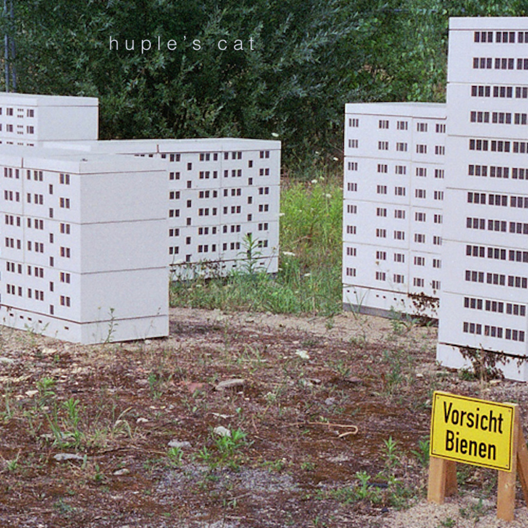 Stream Huple's Cat - Vorsicht Bienen - 01 Then Artax Drowned by Huple's ...