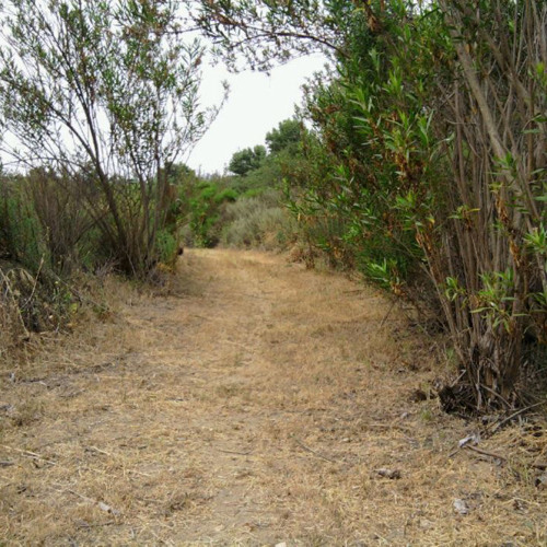 Stream Forgotten Traveller by Dan Tapper Magnetic Audio | Listen online ...