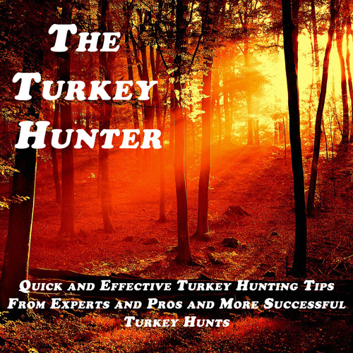 Stream The Turkey Hunter Podcast | Listen to Episode 003 - An Interview ...