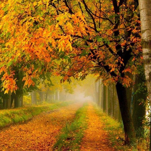 Stream The sad love story ost- if you love me by Merliah | Listen ...