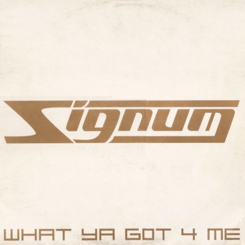 Stream Signum - What Ya Got 4 Me (DJ Mellow-D Remix) by DJ Mellow-D ...
