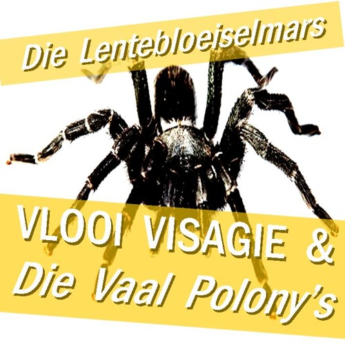 Stream Lentebloeiselmars - VLOOI VISAGIE en Die Vaal Polony's by Vlooi ...