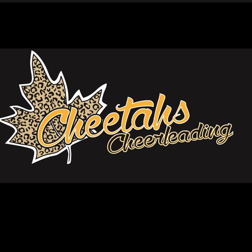 Stream Cheetahs Cheerleading Cerise 14 15 by Cheetahs Cheerleading ...