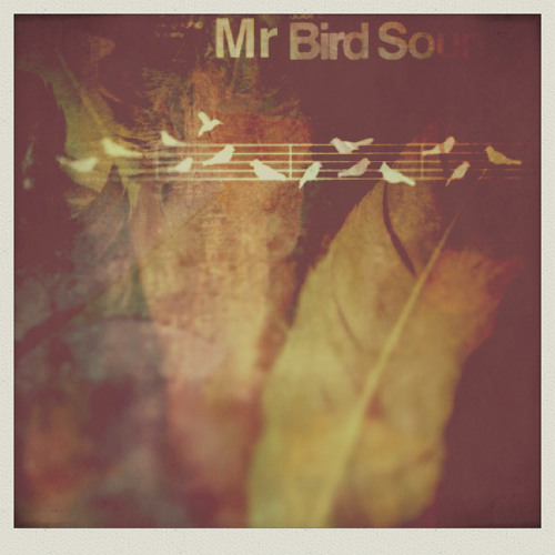 Stream mrbird | Listen to Mr Bird Remixes playlist online for free on ...