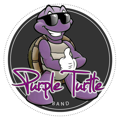 Purple Turtle Logo