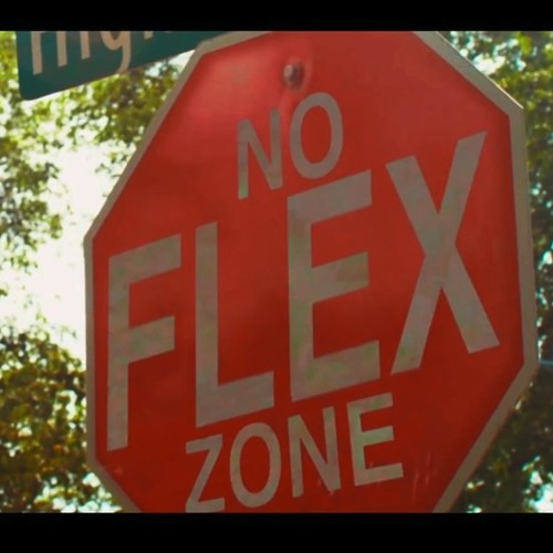 No Flexzone Street Sign