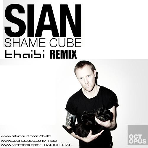 Stream Sian - Shame Cube (THAIBI REMIX) by THAIBI Official Site ...