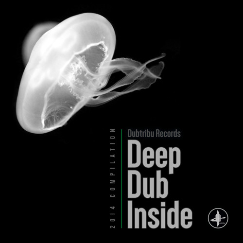 Stream VA - Deep Dub Inside 2014 (DTR010) [FKOF Promo] by FatKidOnFire | Listen online for free ...