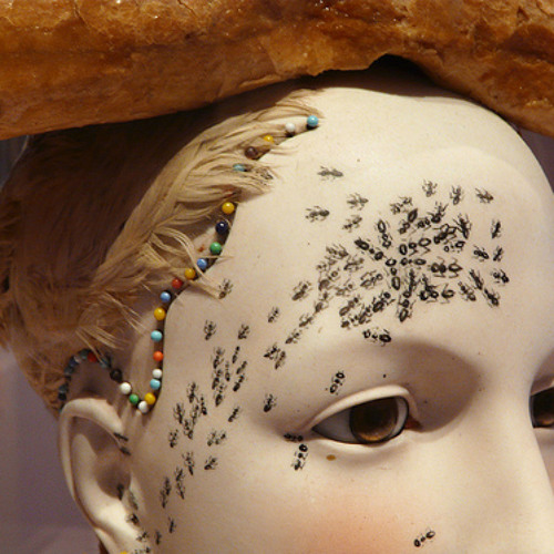 Stream Ants by Hazel Gill | Listen online for free on SoundCloud