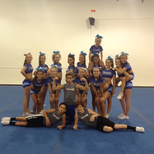 Stream Top Dog Jr Mist 2015 by ashro | Listen online for free on SoundCloud