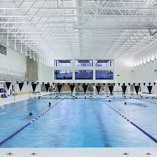 Stream Western U Varsity Waterpolo Team by Jenai Kershaw | Listen ...