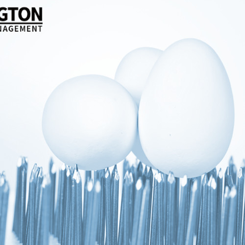 Stream Wants Vs Needs — 12 03 14 Empowered Investing Radio Show With ...