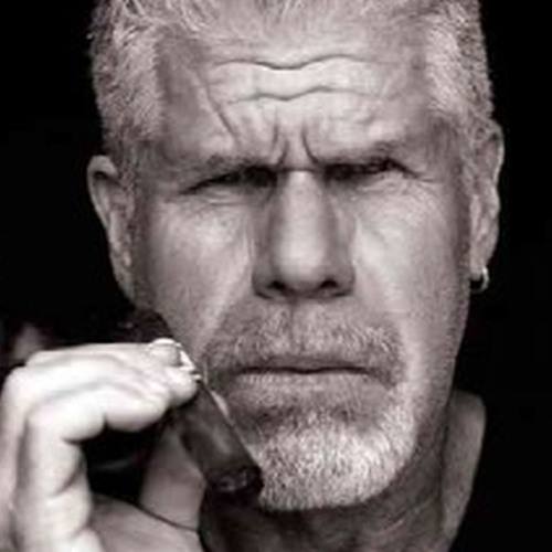 Stream Jace Edwards & Ron McClain Interview RON PERLMAN by Jace Edwards ...