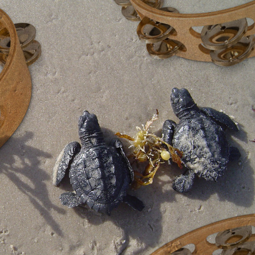 Stream Turtle's March by Riosaurus | Listen online for free on SoundCloud