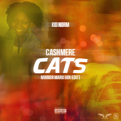 Stream CASHMERE CAT- MIRROR MARU [KN EDIT] by Kid Norm | Listen online ...