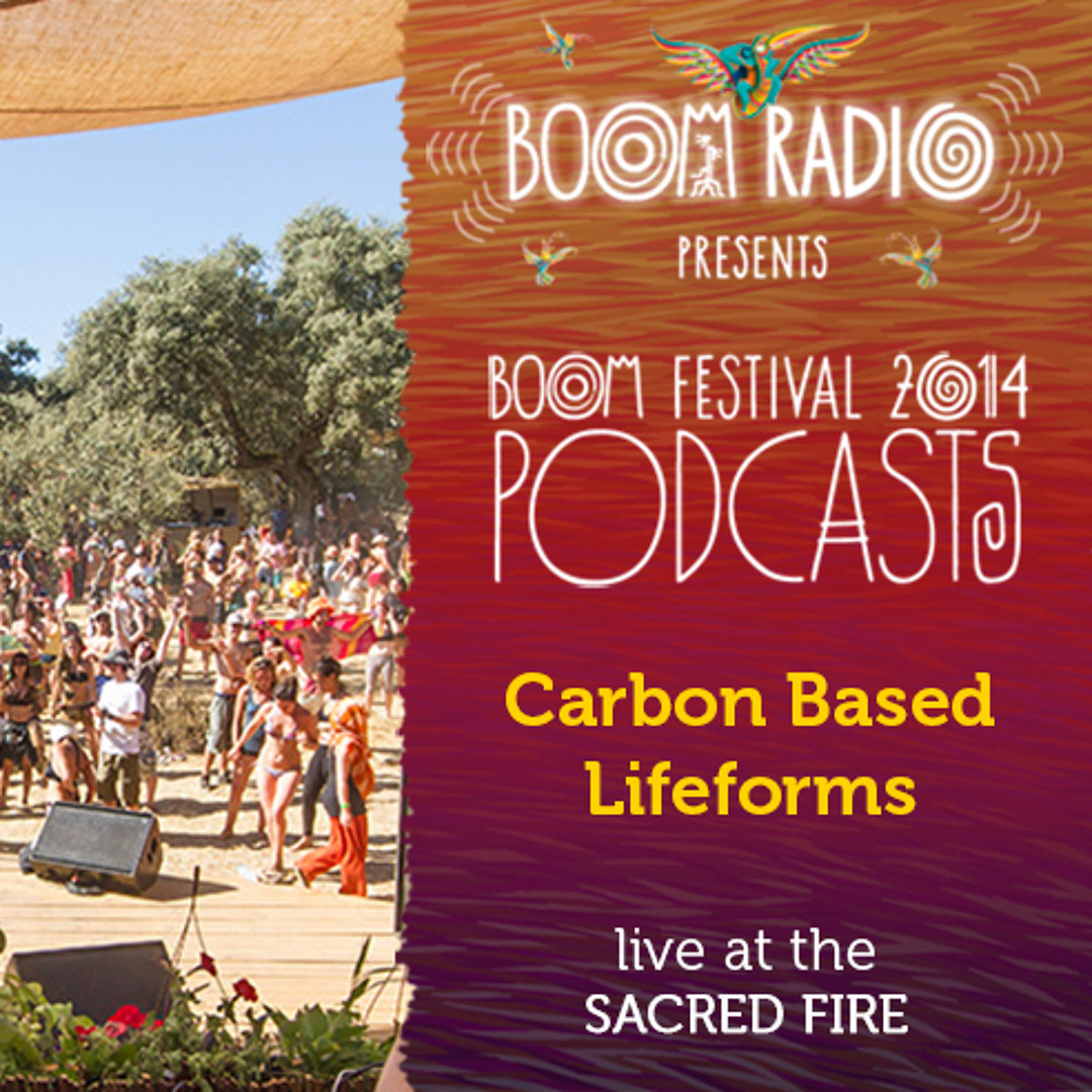 Stream Carbon Based Lifeforms - Sacred Fire 05 - Boom Festival 2014 by ...