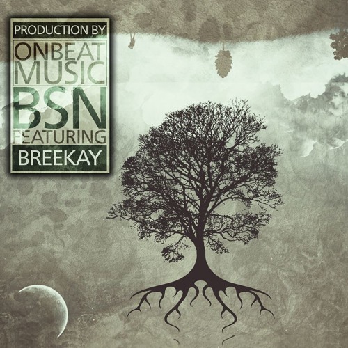 Stream BSN Feat. BreeKay (Produced by @BreeKaySounds & @OnBeatMusic ...