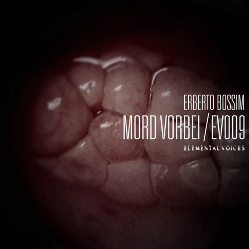 Stream EV009 - 01. Erberto Bossim - Arcgespielt - Preview by Elemental ...