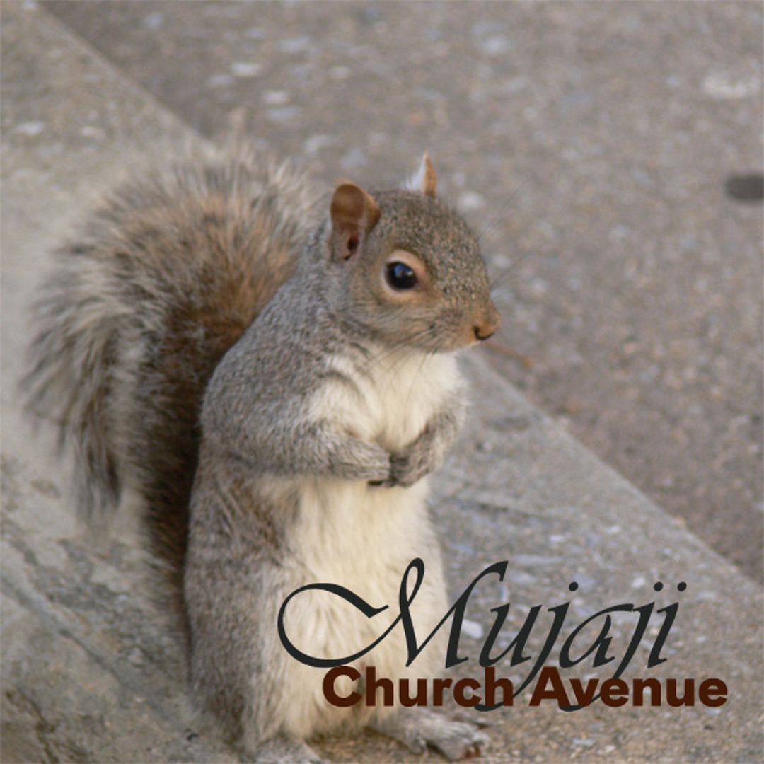 Stream Mujaji ~ Moldy Carpet [Church Ave] by Mujaji | Listen online for ...