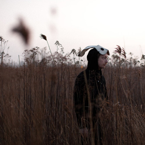 Stream SLEEP PARTY PEOPLE - Silent Night by Brian Batz | Listen online ...