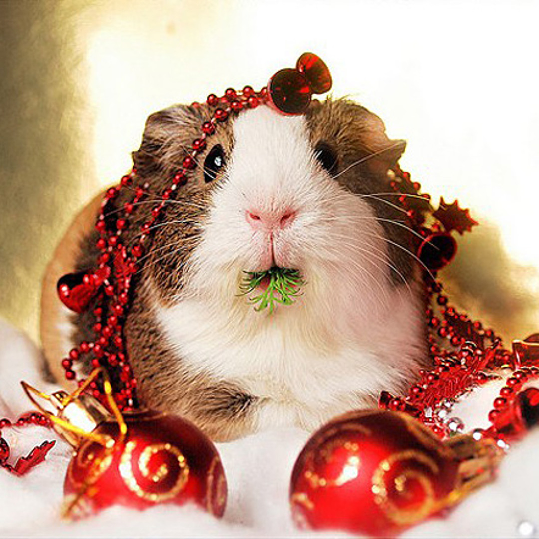 Stream "My Favorite Things" Cover by Minnie Nguyen 1 | Listen online ...