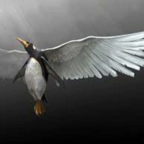 Penguin Flying